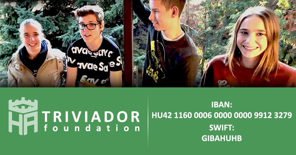 Triviador Foundation